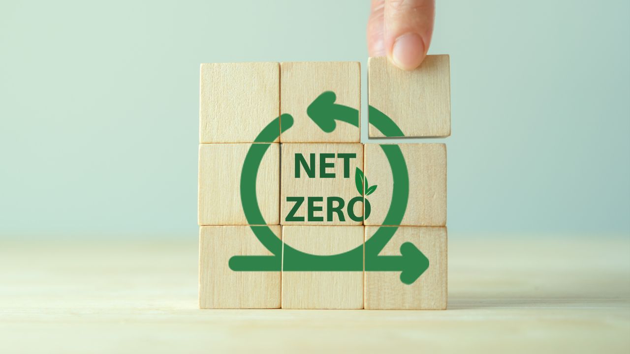 What is Net Zero? - Green Origin
